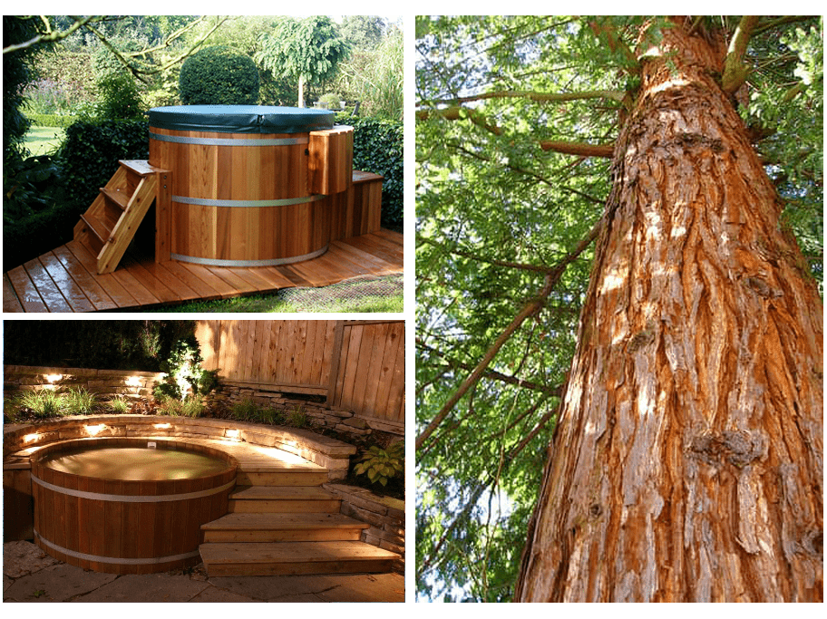 Northern Lights Cedar Tubs - All about cedar